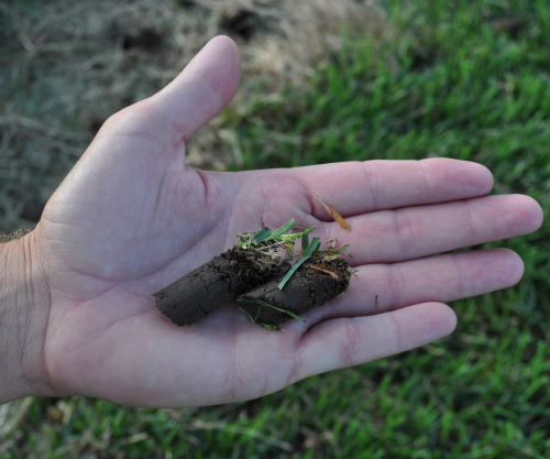 About Lawn Rescue Services New Zealand | Caring for your Lawn, Lawn ...